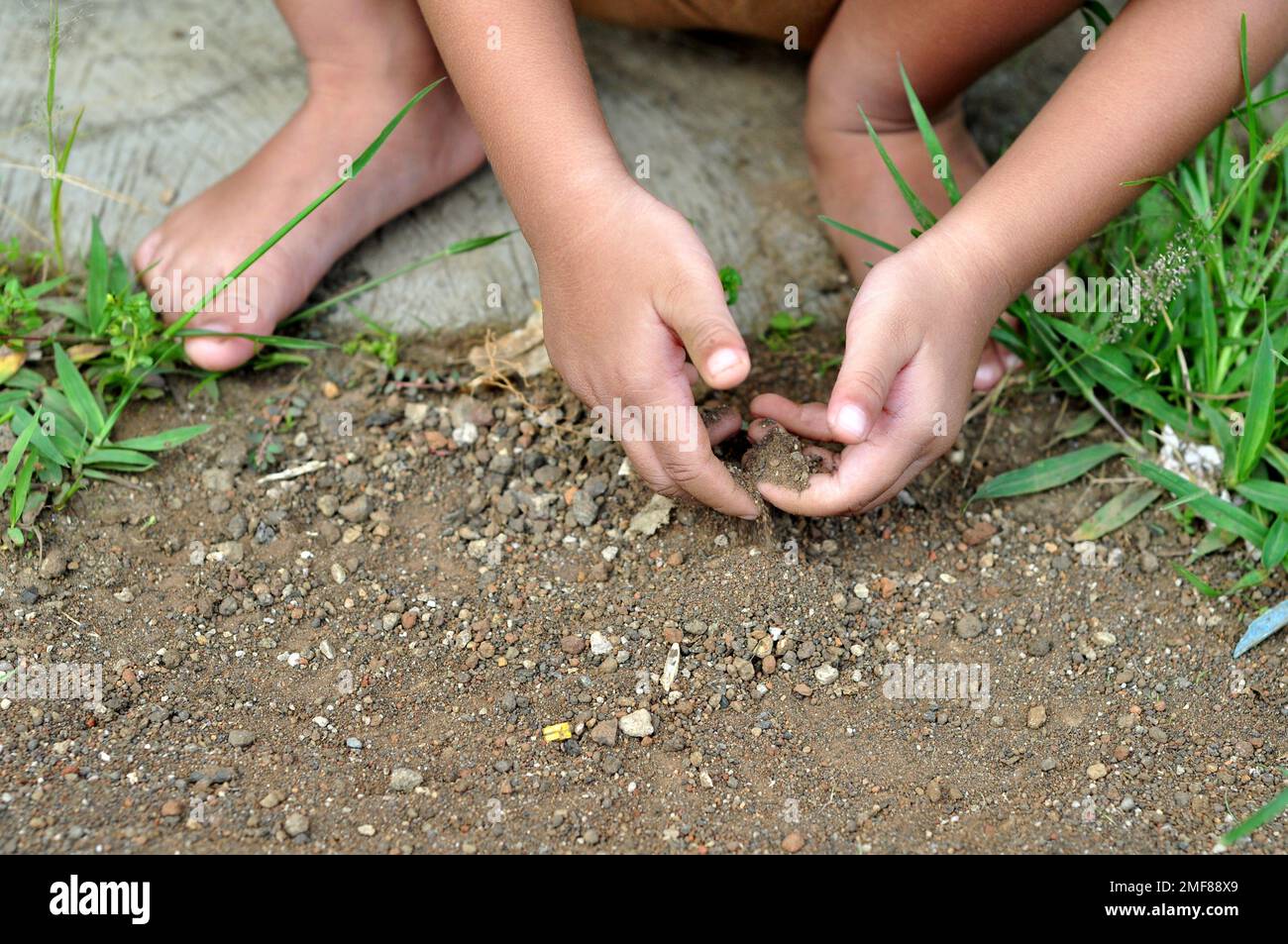 Small children are playing in the sand in the yard Stock Photo - Alamy