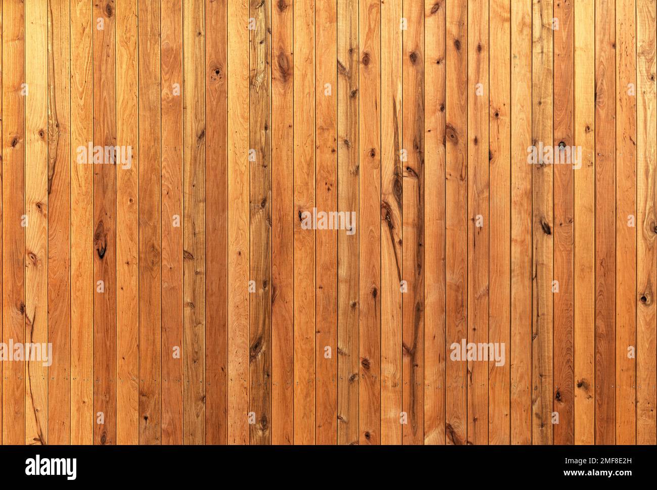 High-quality wood texture with deep relief and expressive texture ...