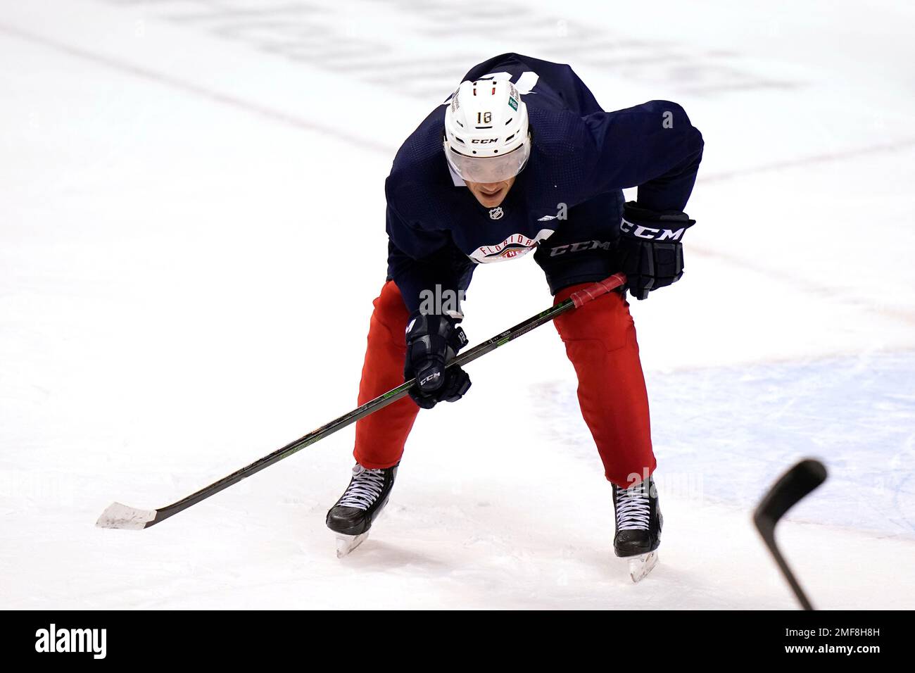 Florida Panthers forward Serron Noel does drills during NHL hockey ...