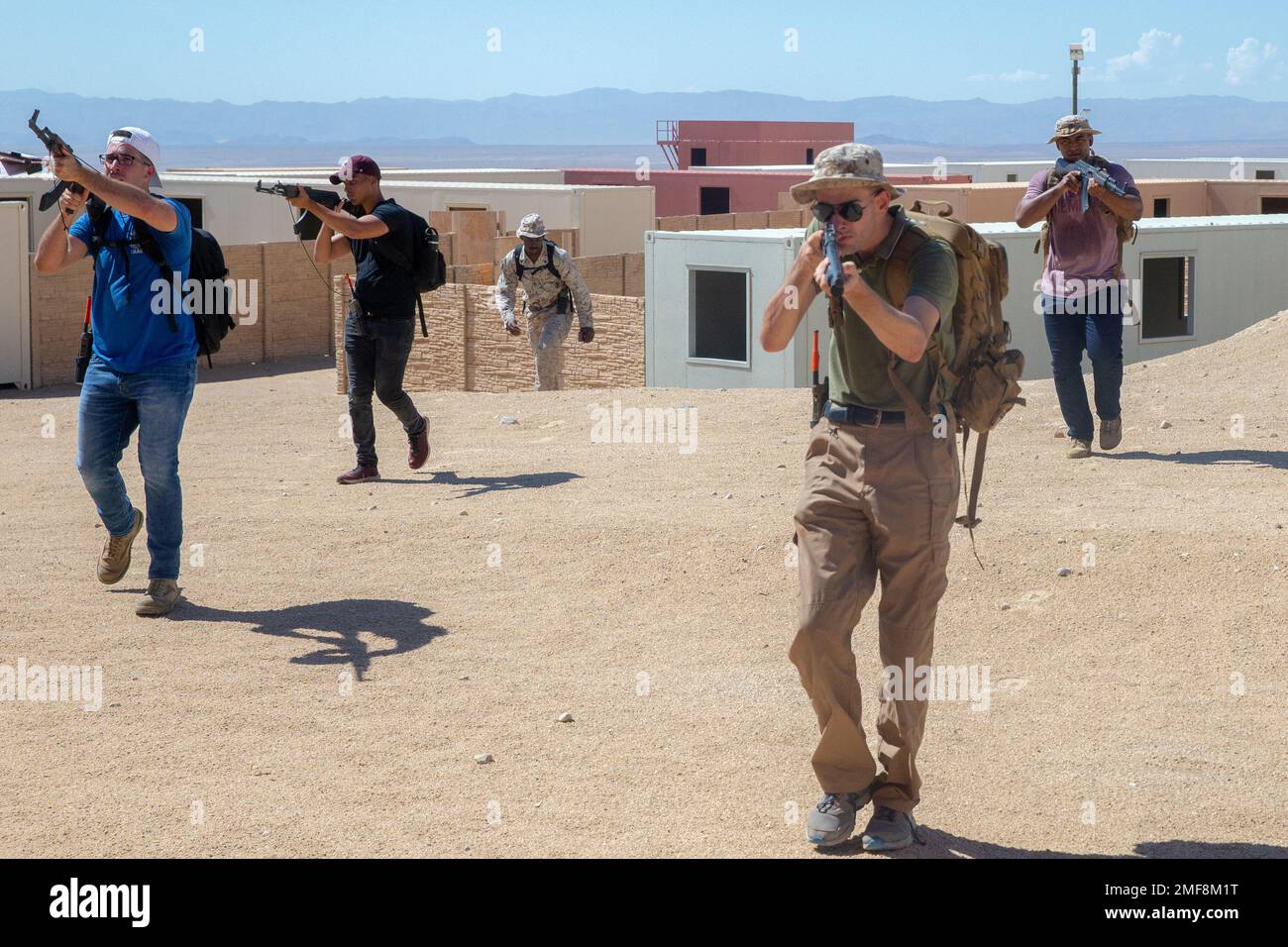 Coyote ttecg hi-res stock photography and images - Alamy