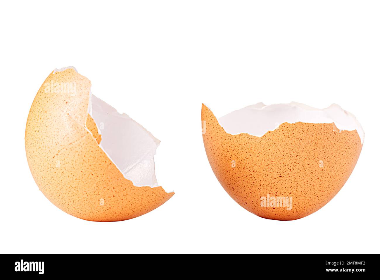 Egg shell isolated on white. Broken egg shell isolated on white Stock Photo - Alamy