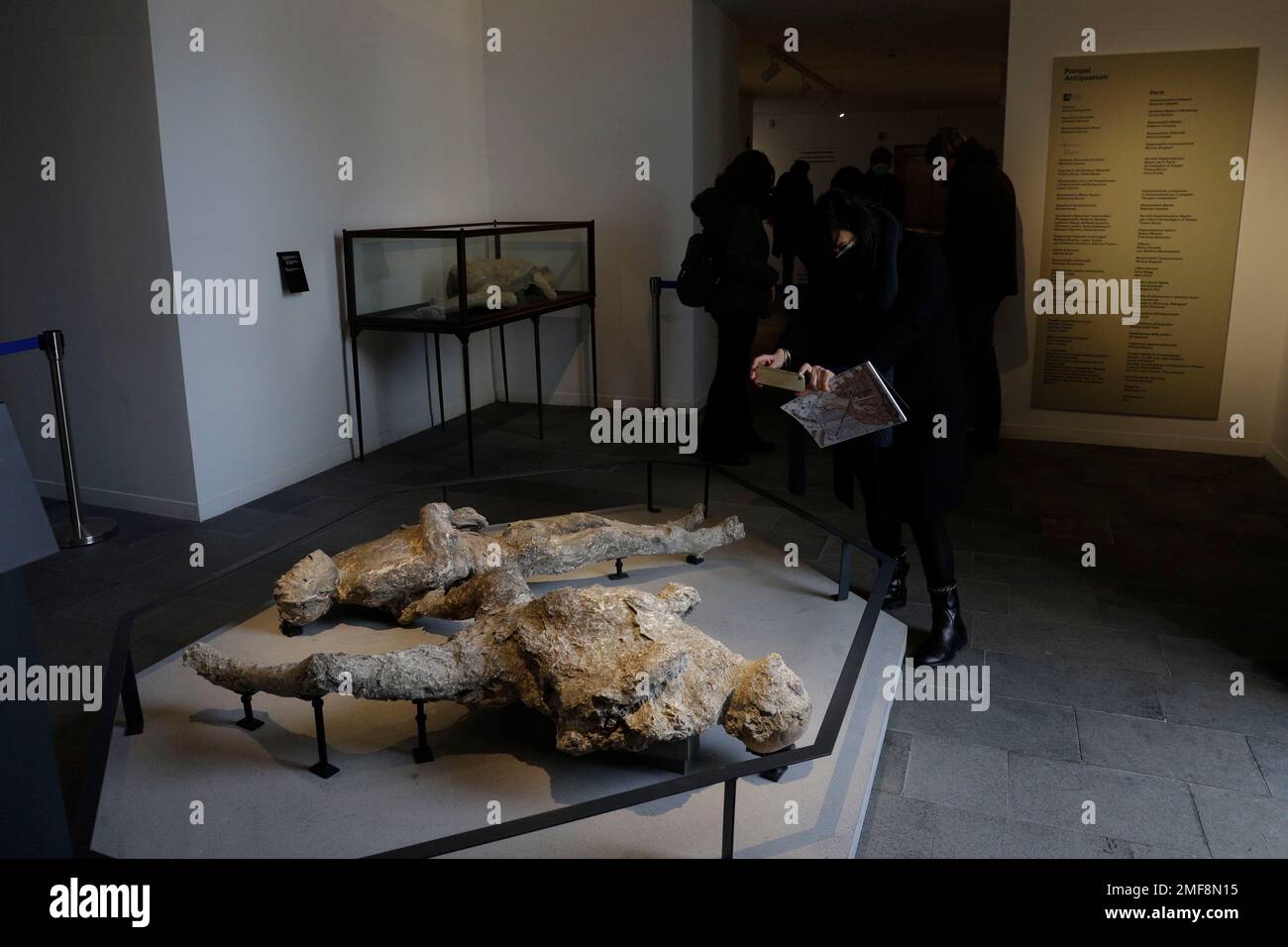 A woman takes pictures of casts of two victims of the 49 AD Eruption of ...