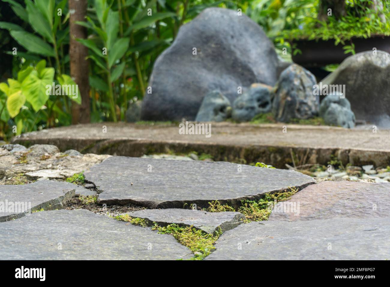 floor of natural stone in the middle of green nature landscape Stock ...