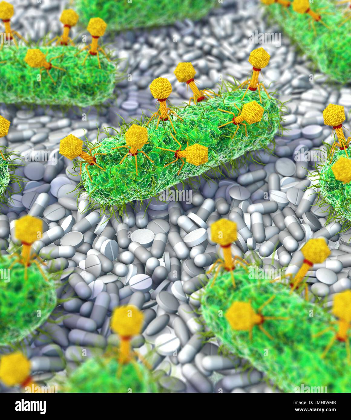 Phage therapy, conceptual illustration Stock Photo - Alamy