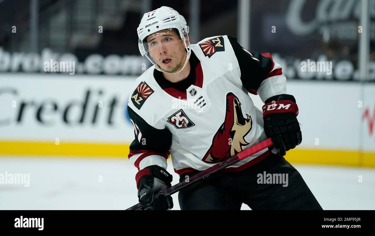 Arizona Coyotes center Tyler Pitlick (17) plays against the Vegas ...
