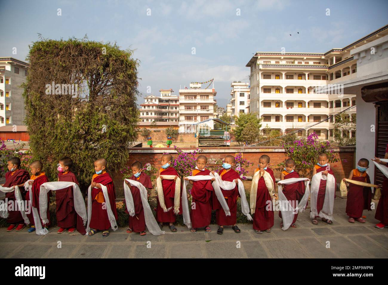 Young Nepalese Buddhists monks hold ceremonial scarfs during a ...