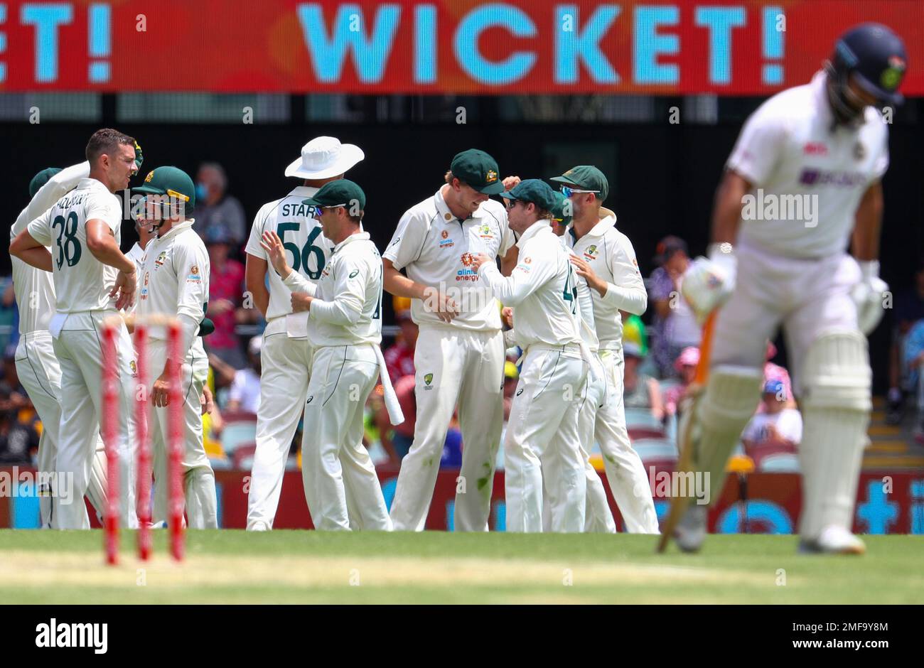 Australian players celebrate the dismissal of India's Rishabh Pant ...