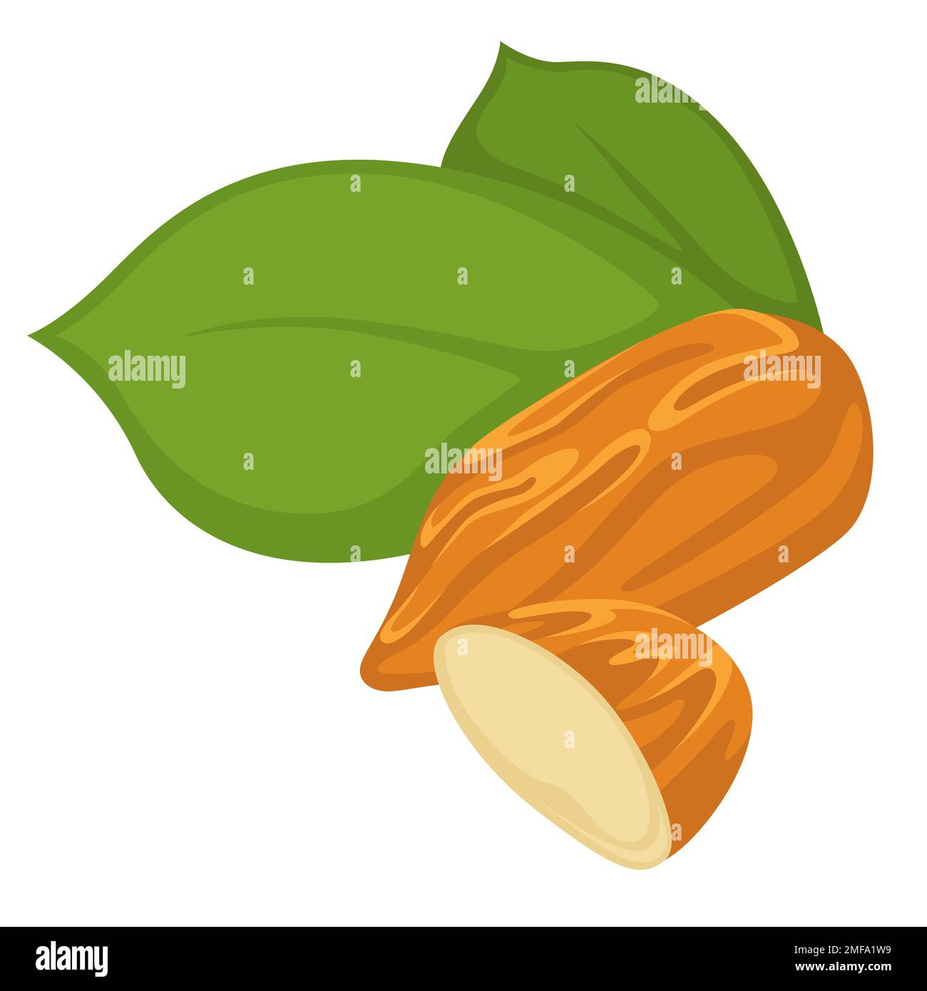 Almond nut whole piece and slice with leaf vector Stock Vector Image ...