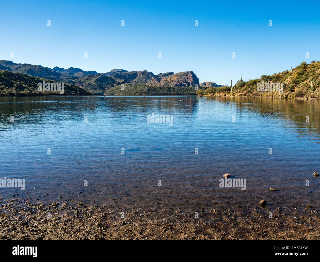Saguaro Lake near Phoenix Arizona is a dammed water recreation area ...