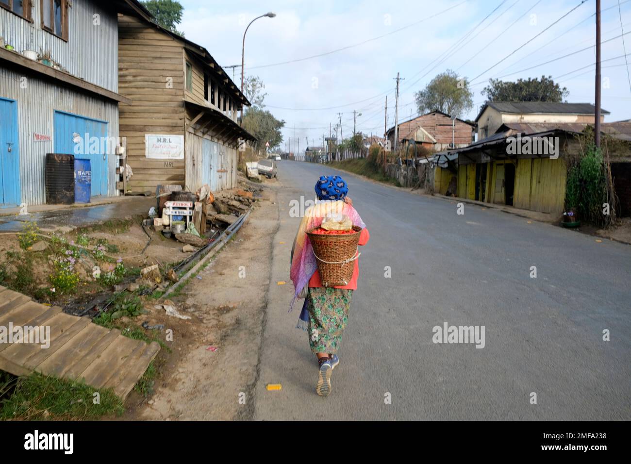 An elderly Tangkhul Naga woman carries a basket filled with chilli to ...