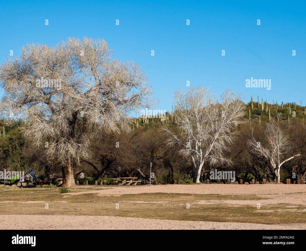 Saguaro Lake near Phoenix Arizona is a dammed water recreation area ...