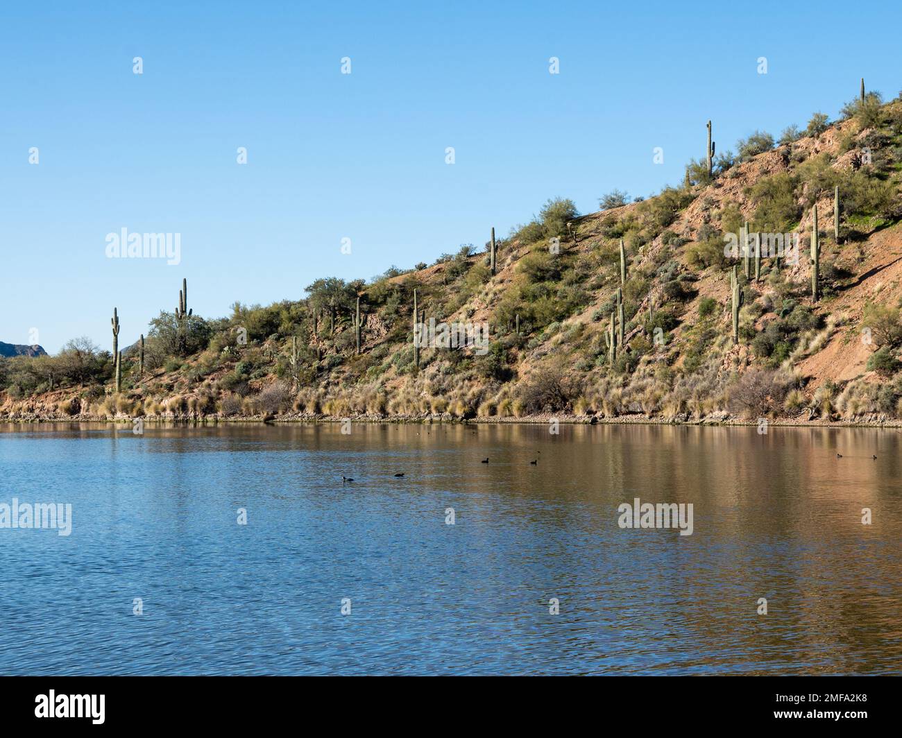 Saguaro Lake near Phoenix Arizona is a dammed water recreation area ...