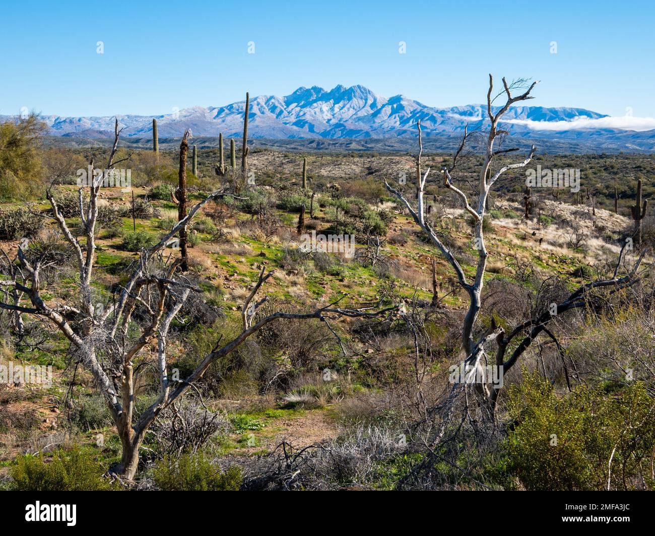The iconic Four Peaks mountain and the surrounding mountain range near ...