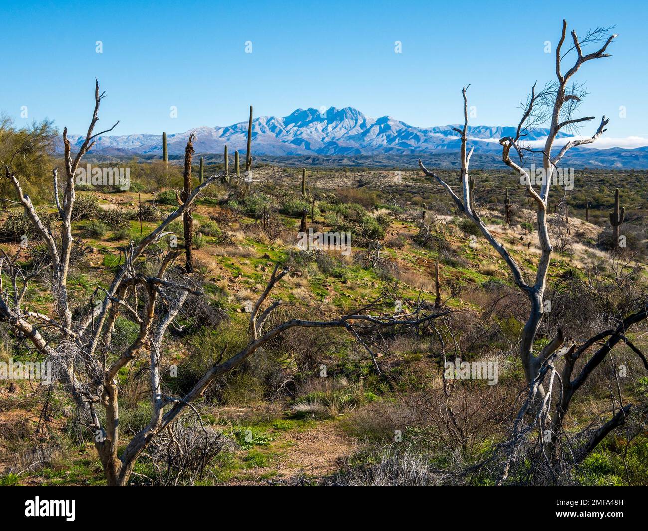 The iconic Four Peaks mountain and the surrounding mountain range near ...
