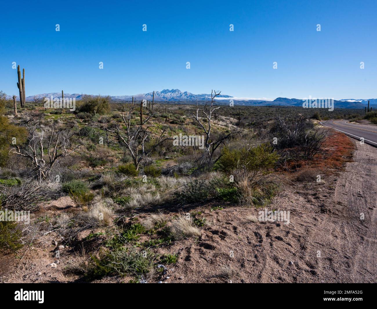 The iconic Four Peaks mountain and the surrounding mountain range near ... The iconic Four Peaks mountain and the surrounding mountain range near ...