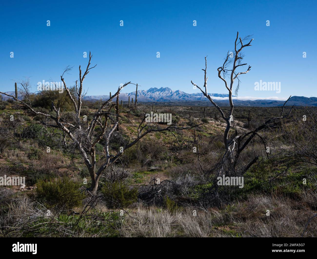 The iconic Four Peaks mountain and the surrounding mountain range near ...