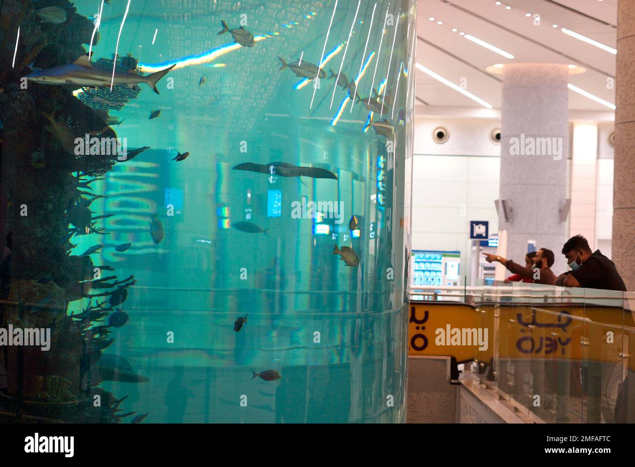 Passengers watch fish in a giant aquarium at the King Abdulaziz ...