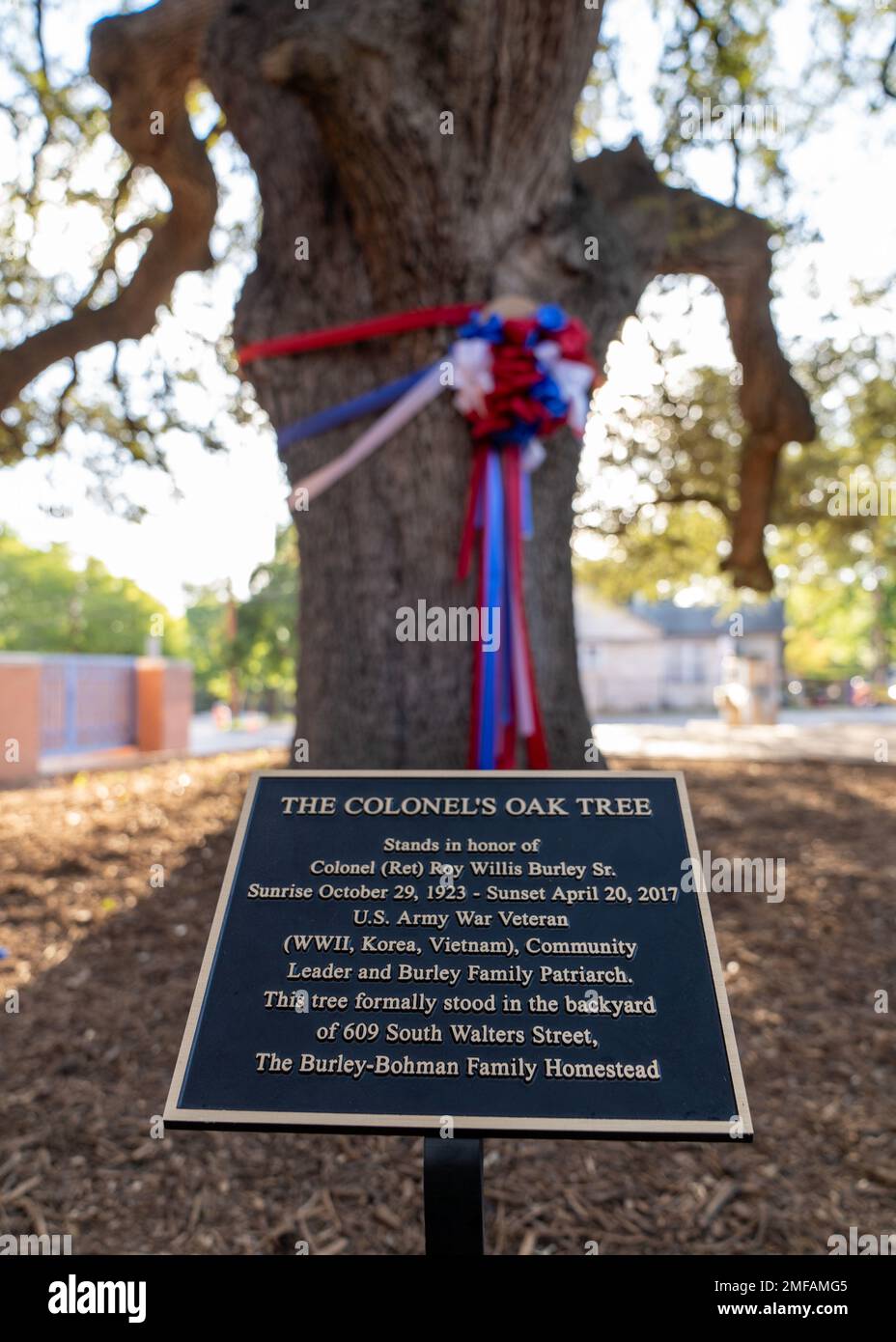 Col burley hi-res stock photography and images - Alamy