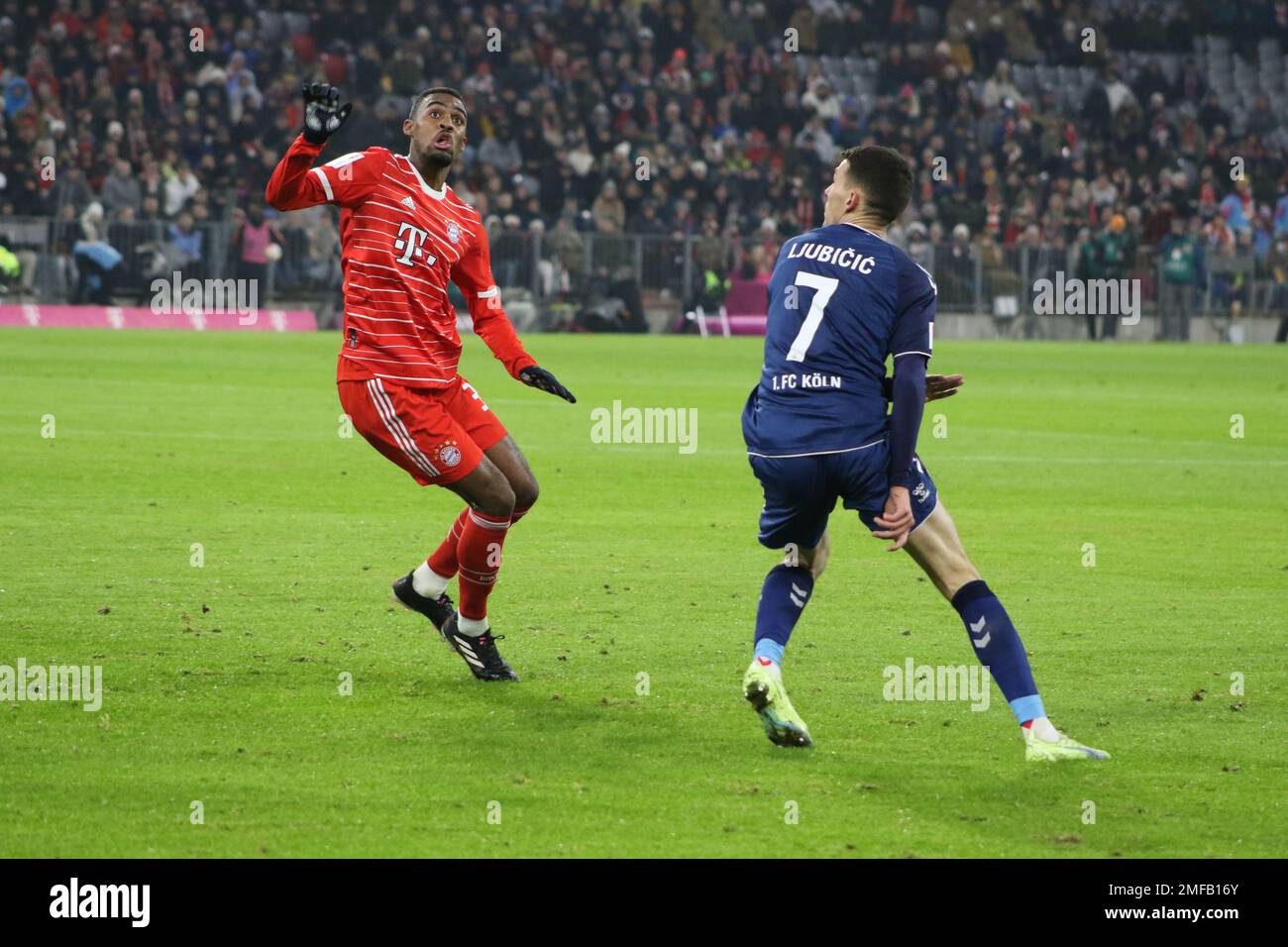 38 ryan gravenberch hi-res stock photography and images - Alamy