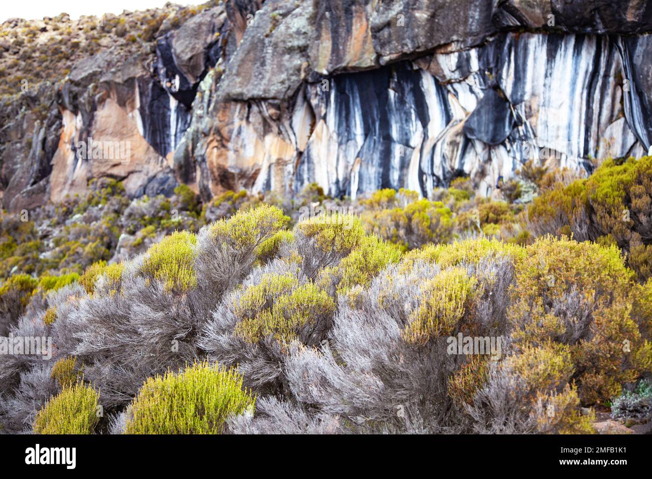 The Zebra rocks on the way to the summit of Mount Kilimanjaro, Tanzania ...