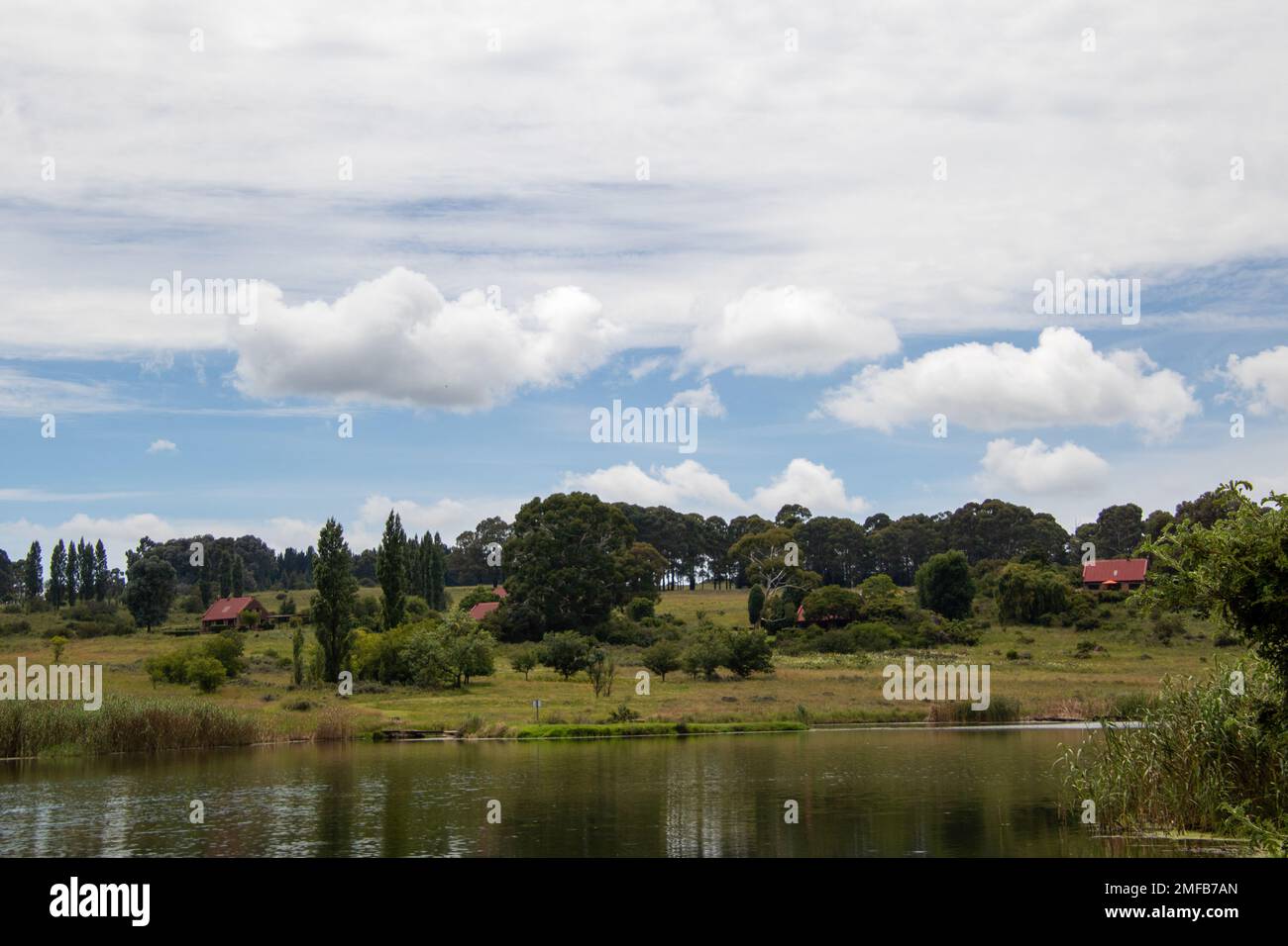 Dullstroom, South Africa - Millstream Farm is a trout fishing and ...