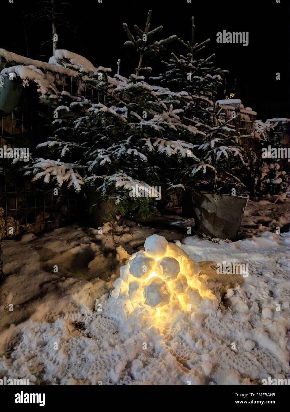 Winter scene with snow, pines, and snow lantern in the dark, Lapland ...