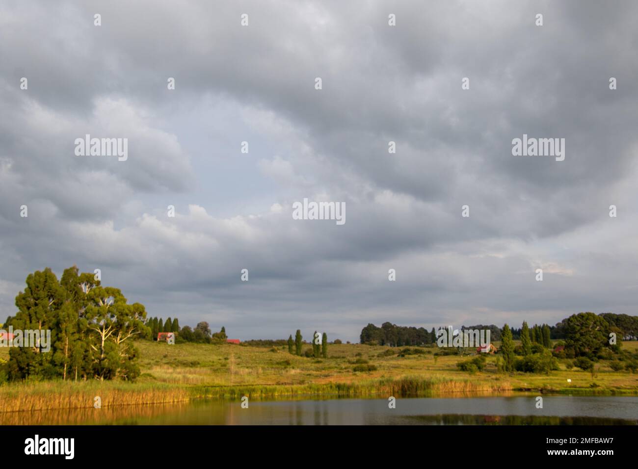 Dullstroom, South Africa - Millstream Farm is a trout fishing and ...