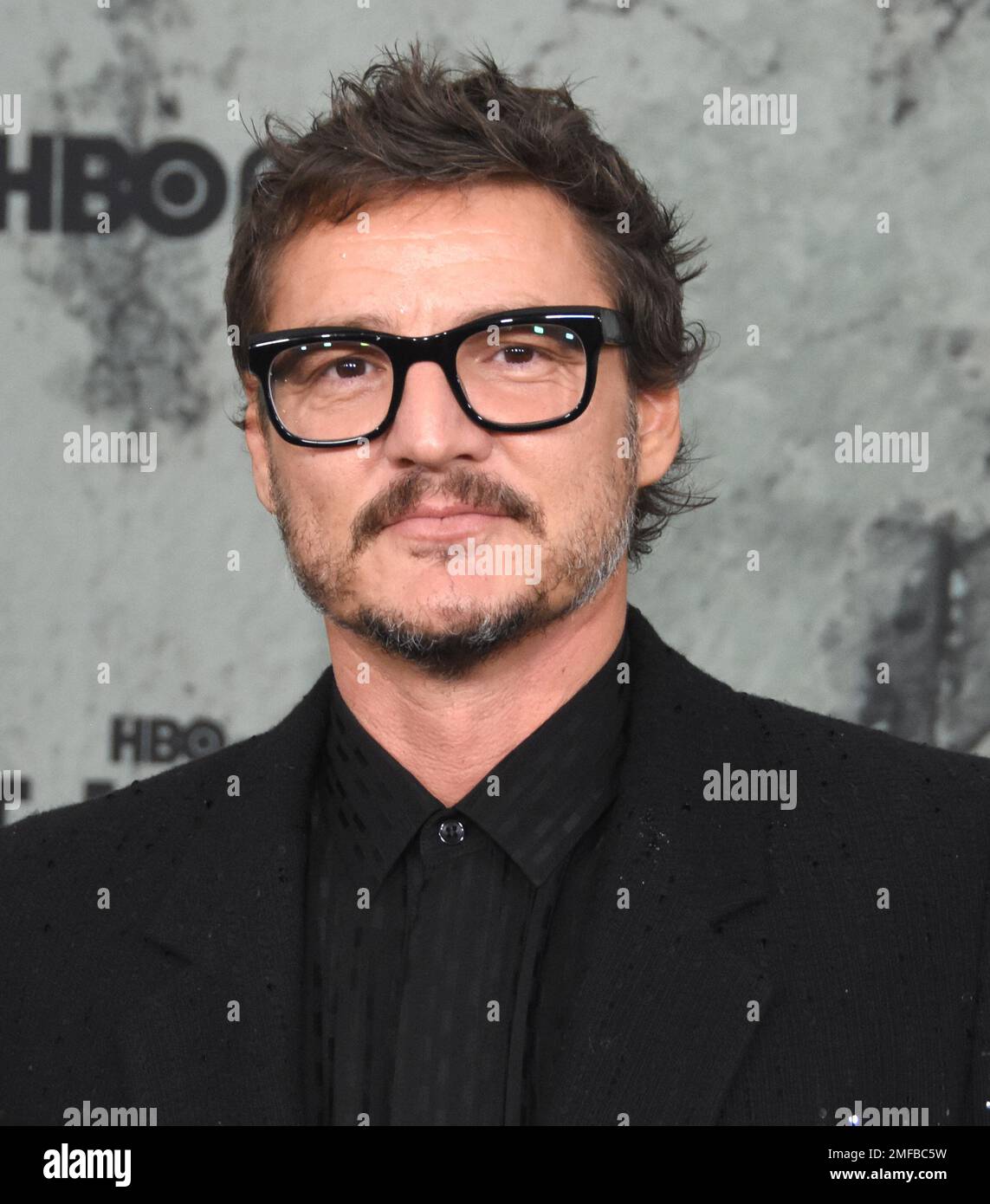 Los Angeles, California, USA 9th January 2023 Actor Pedro Pascal ...