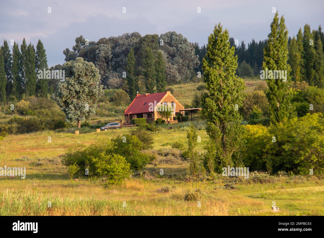 Dullstroom, South Africa - Millstream Farm is a trout fishing and ...