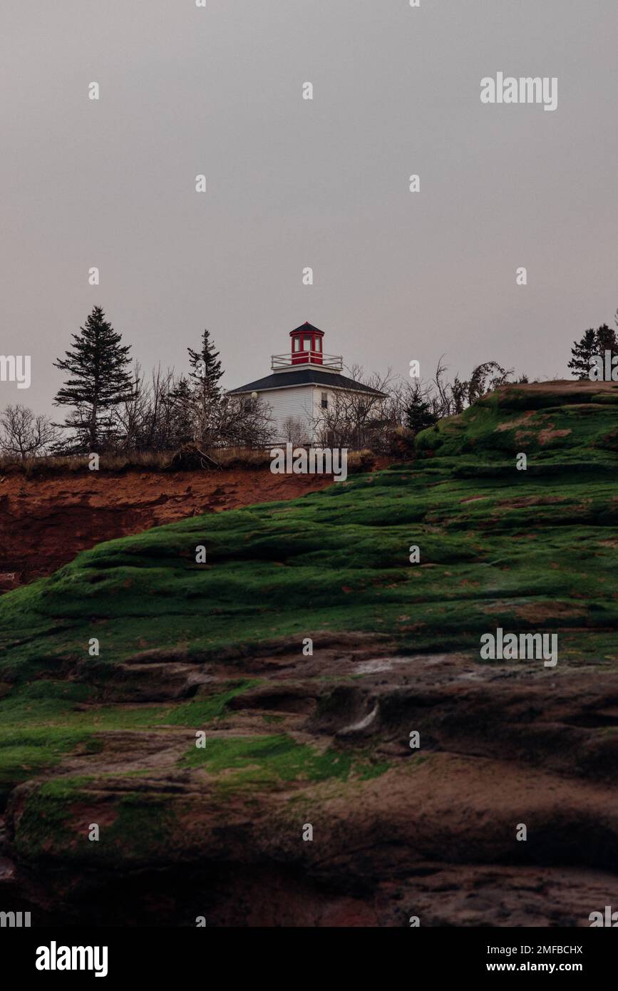 A vertical shot of a lighthouse building surrounded by trees and green ...