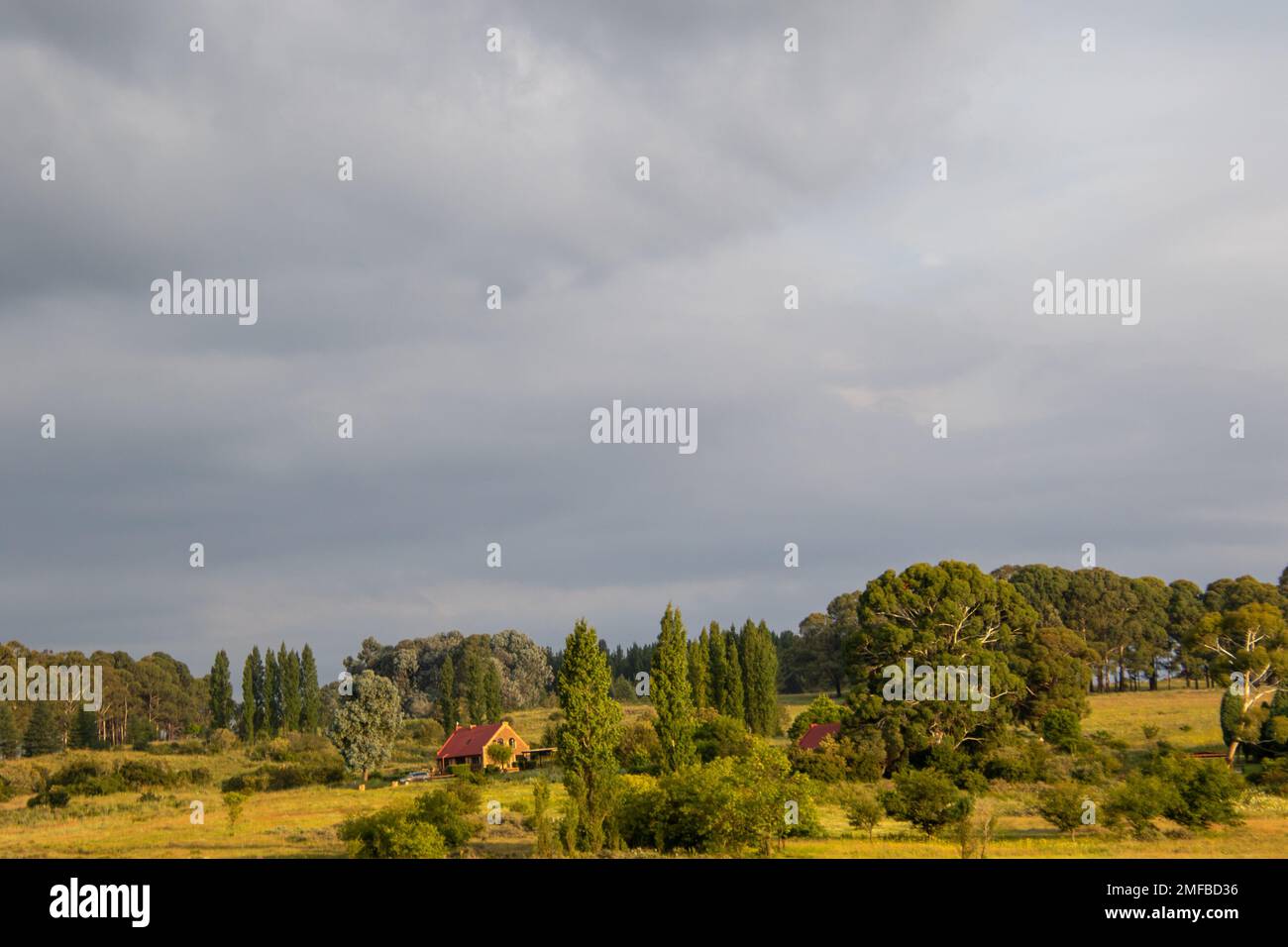 Dullstroom, South Africa - Millstream Farm is a trout fishing and ...