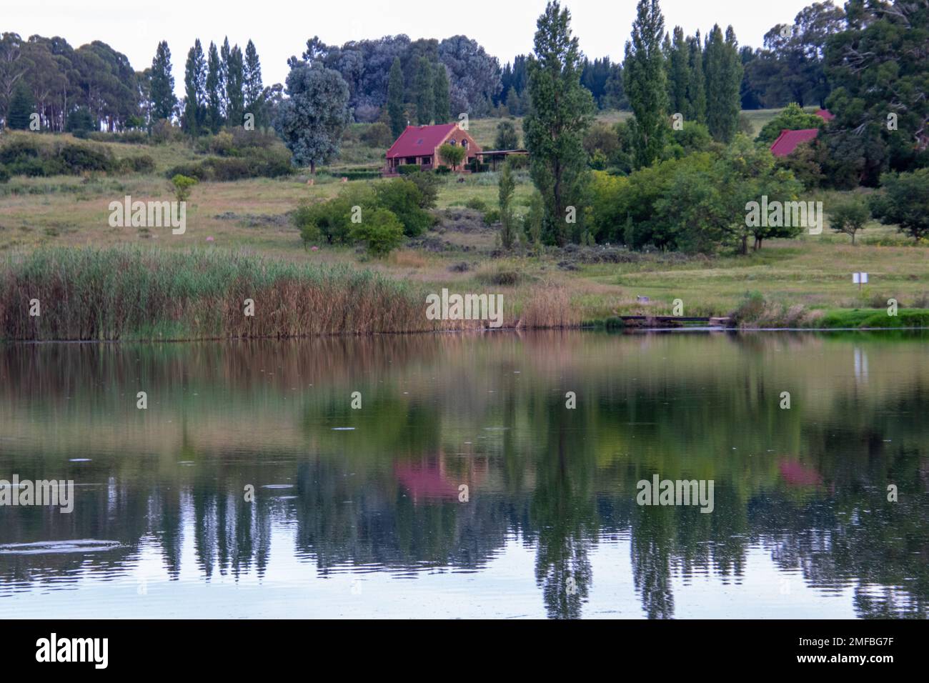 Dullstroom, South Africa - Millstream Farm is a trout fishing and ...