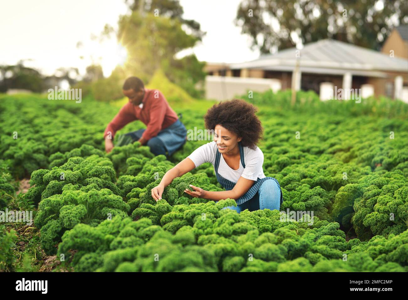 They love getting their hands dirty. a young farm couple working the ...