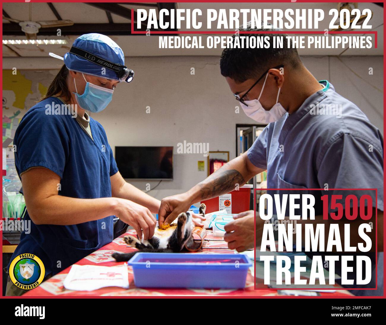 Graphic highlighting veterinary services conducted in Puerto Princesa ...