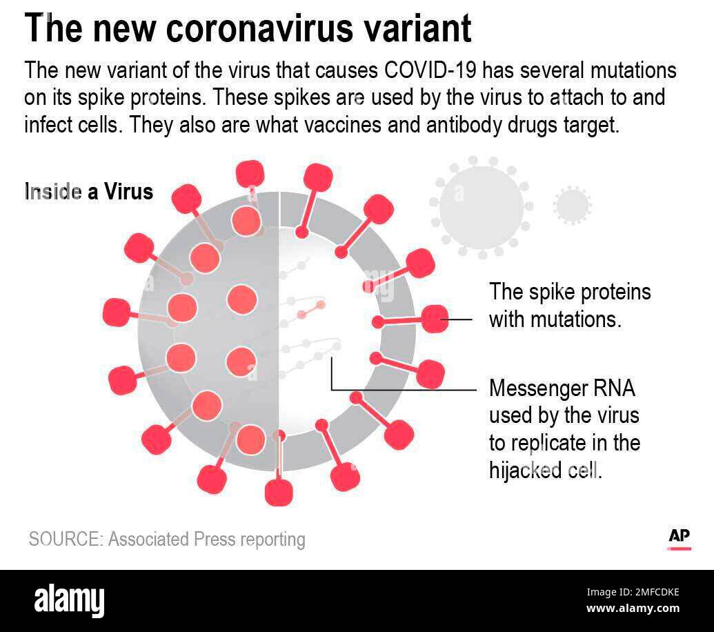 Graphic shows a diagram of the COVID-19 virus Stock Photo - Alamy