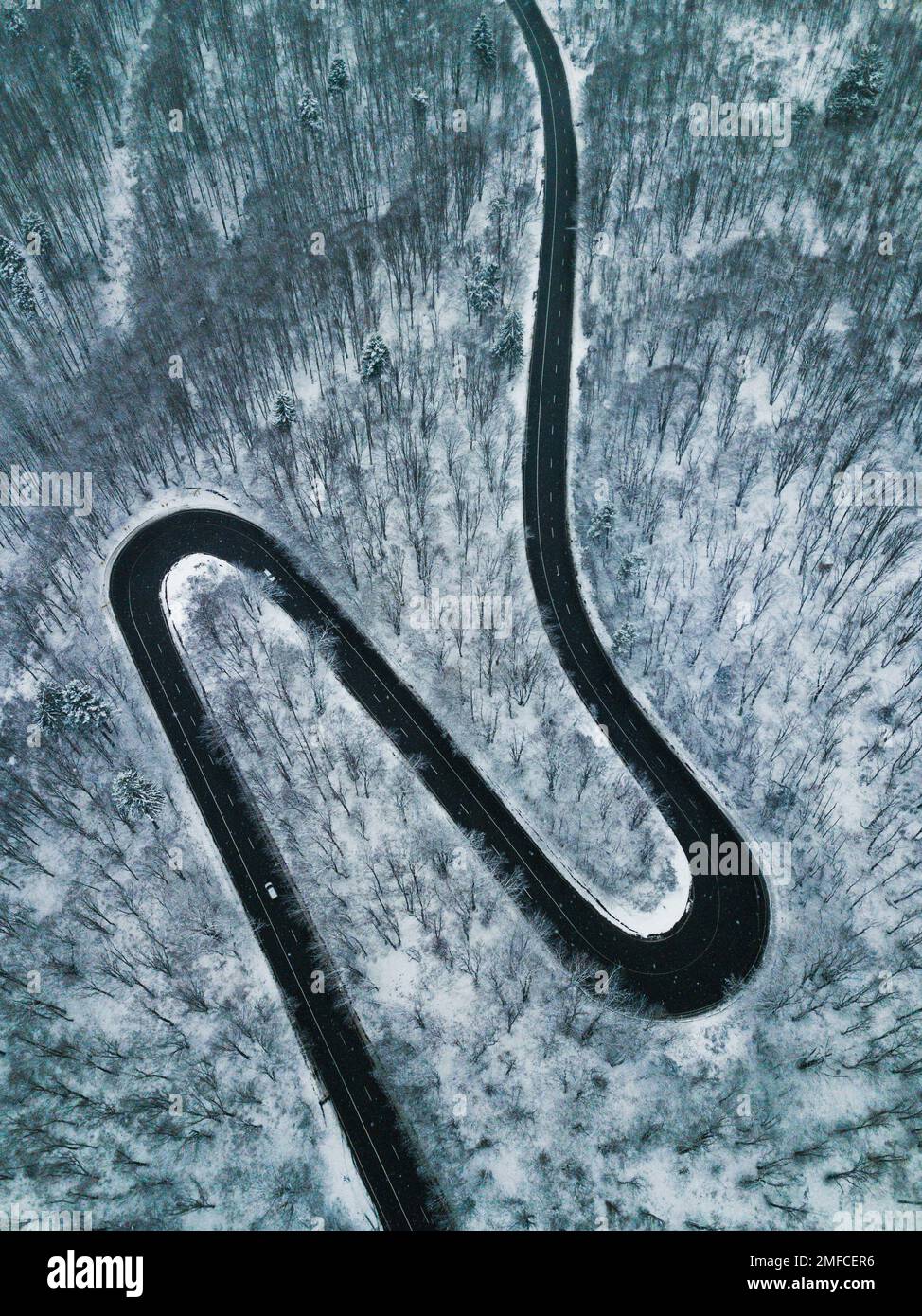 Aerial view of a winding road through the snow-covered forest. Amazing ...
