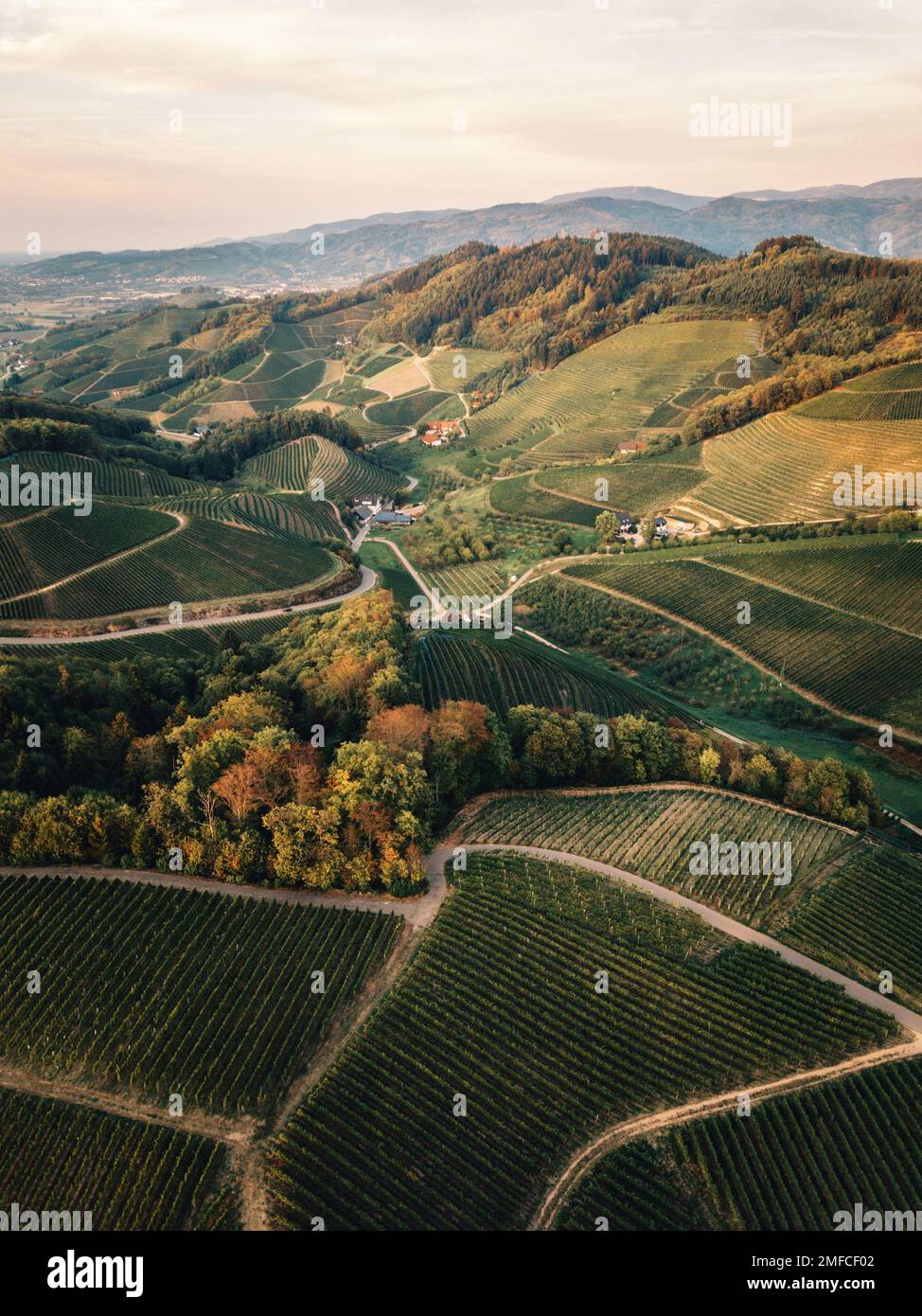 Aerial view city vineyards sunset autumn hi-res stock photography and ...