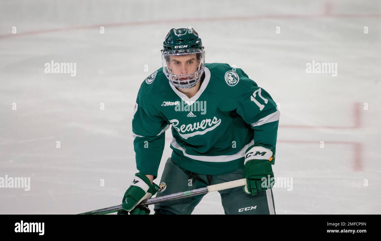 Bemidji State forward Ross Armour (17) skates against Minnesota State ...