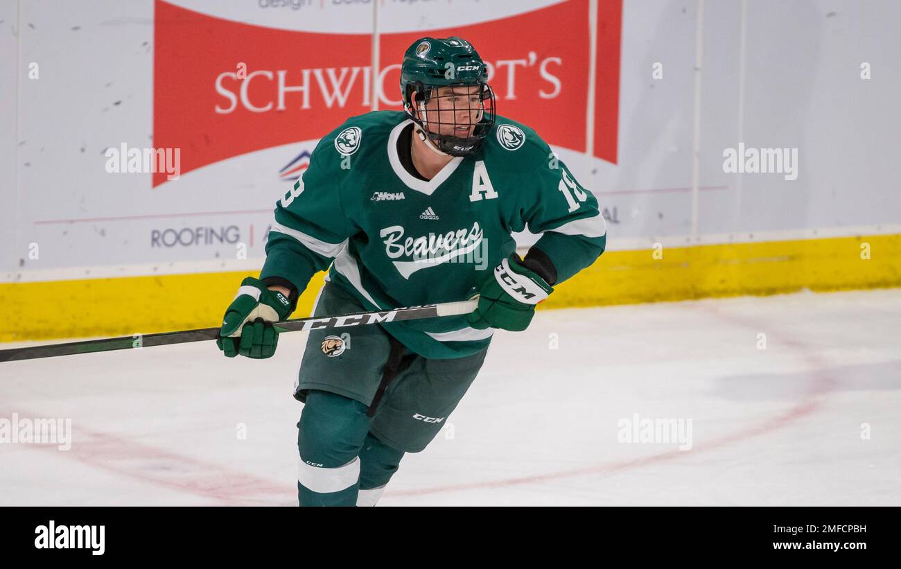 Bemidji State defenseman Brad Johnson (18) skates against Minnesota ...