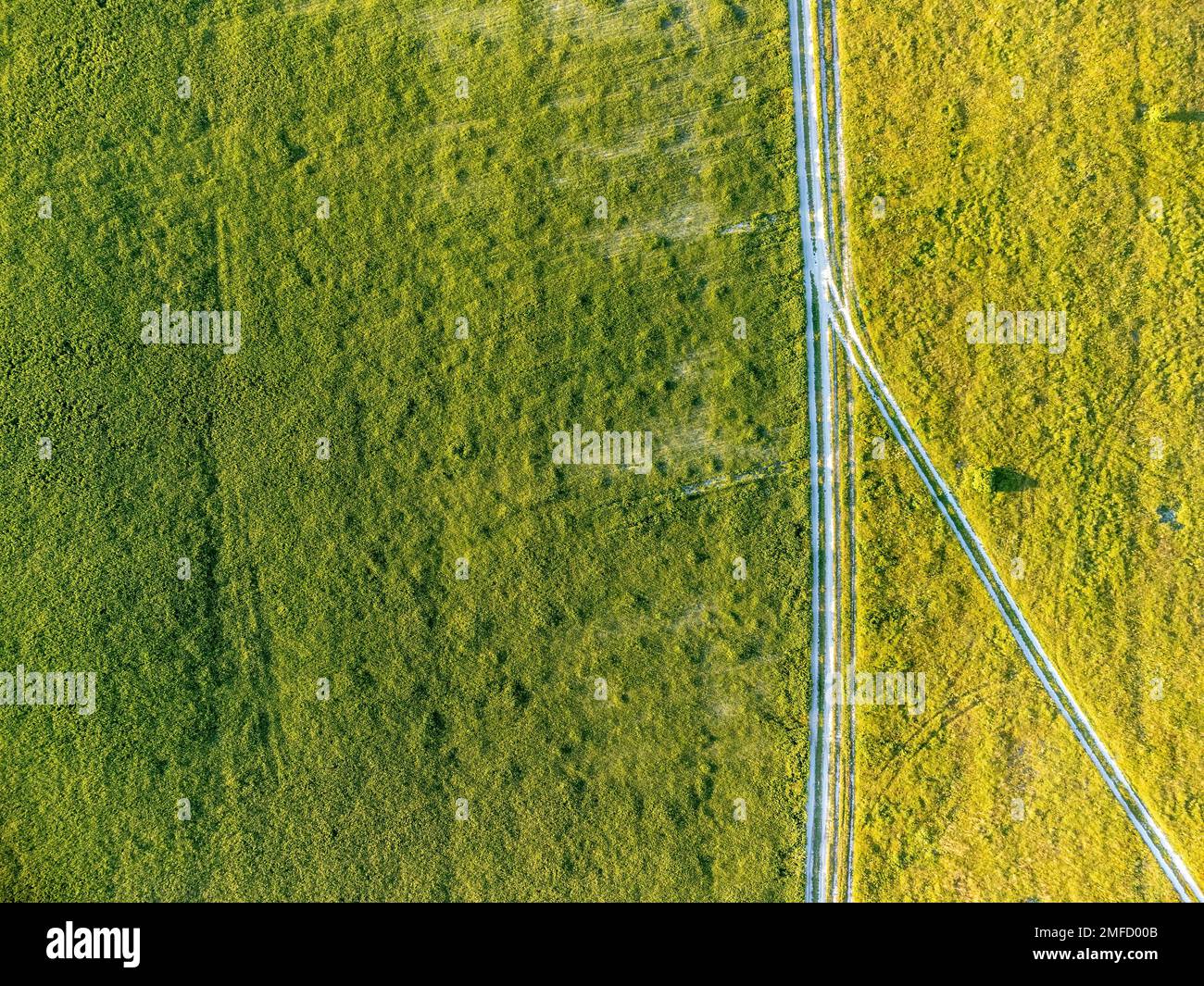 Aerial view on green wheat field and road in countryside. Field of ...