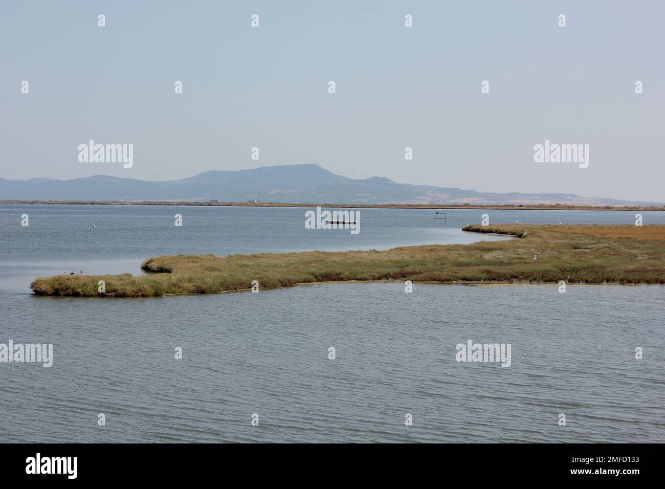 Delta Evros National Park, Evros Thraki Greece Stock Photo - Alamy