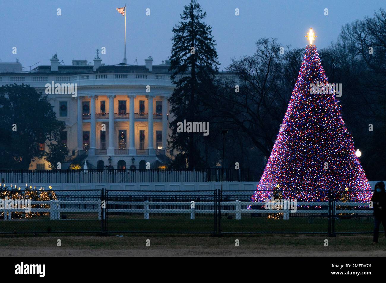 The National Christmas Tree glows with lights on the Ellipse near the ...