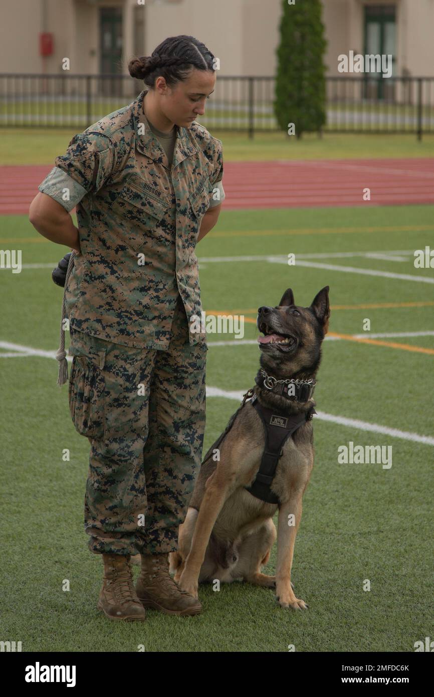 U.S. Marine Corps Cpl. Maria Busson, a military working dog handler ...