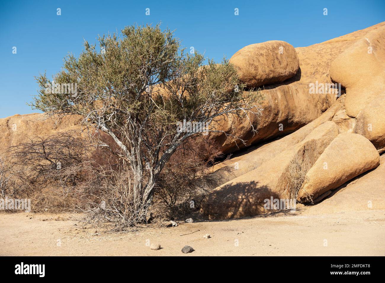 The namibian desert near Spitzkoppe, late afternoon Stock Photo - Alamy