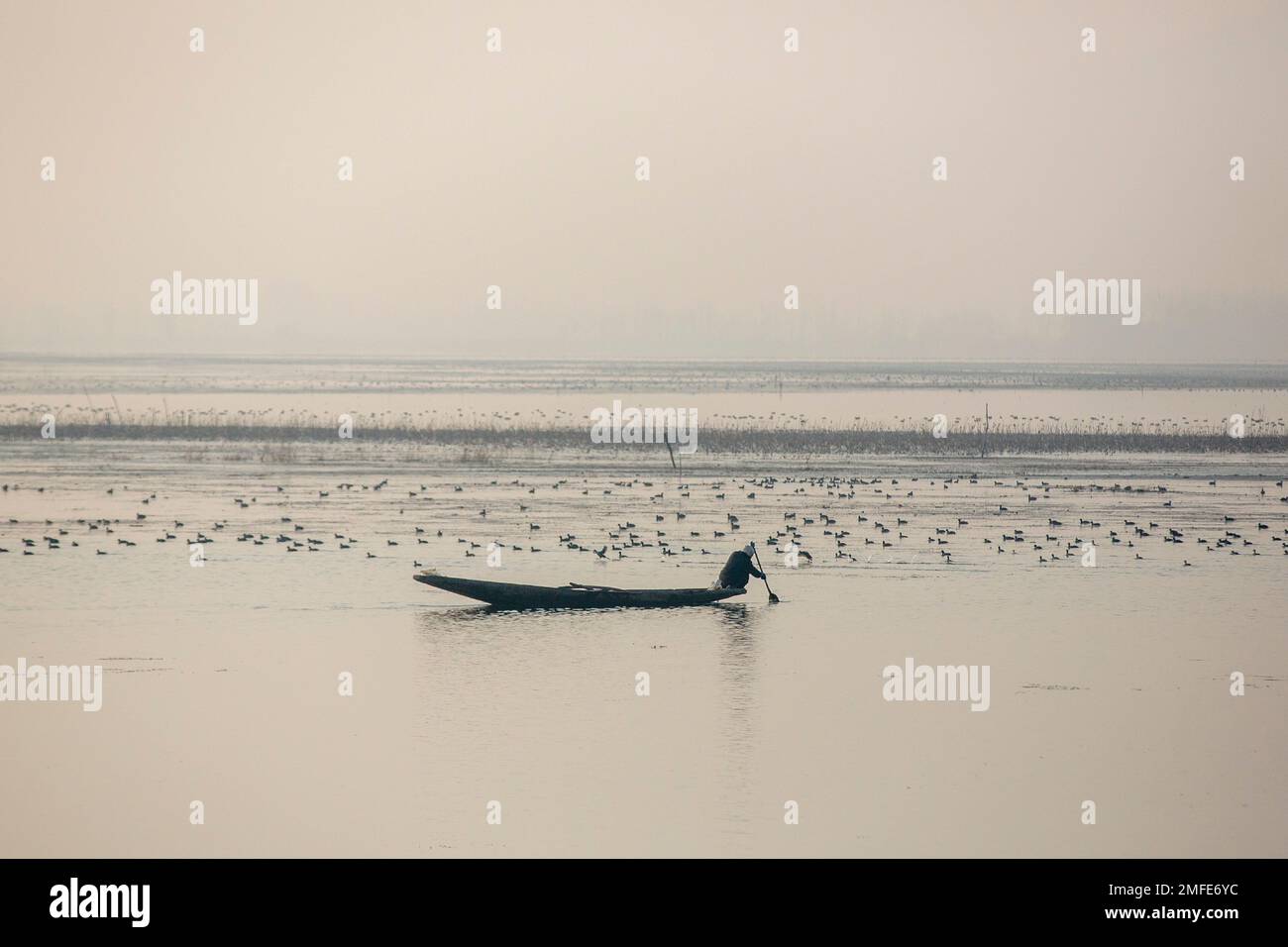 A Kashmiri rows a boat on the Dal Lake on the outskirts of Srinagar ...