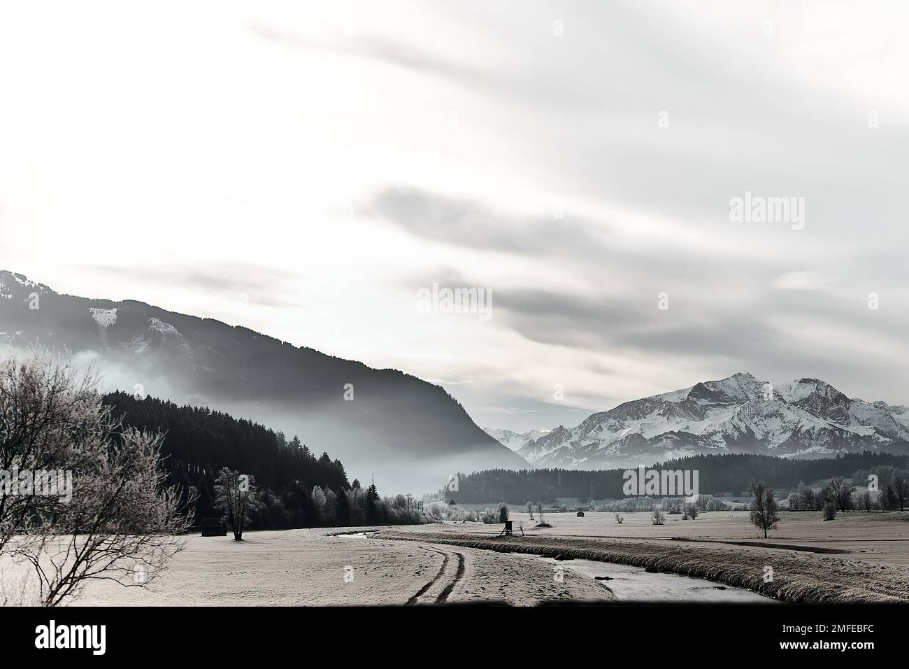 A grayscale of a beautiful landscape with mountains and forests Stock ...