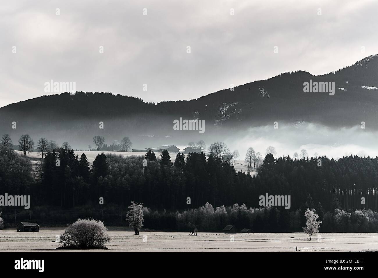 A grayscale of a beautiful landscape with mountains and forests Stock ...