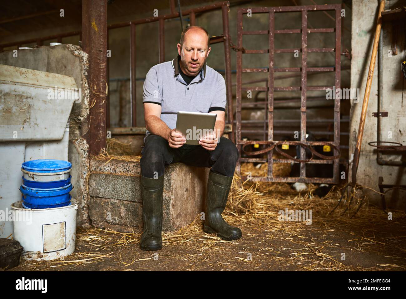 Running his dairy farm online. Full length shot of a male farmer using ...