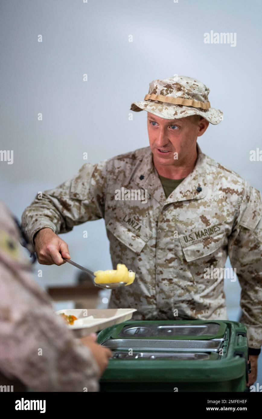 U.S. Marine Corps Lt. Col. Gregory Lanza, a liaison officer with Combat ...