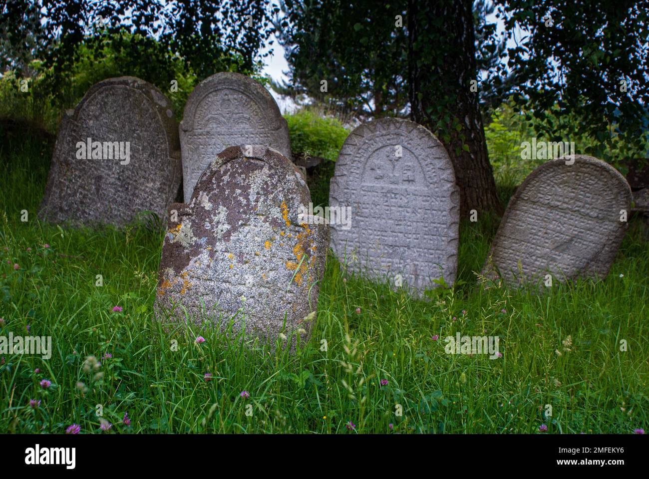 Old forgotten cemetery abandoned graves hi-res stock photography and ...
